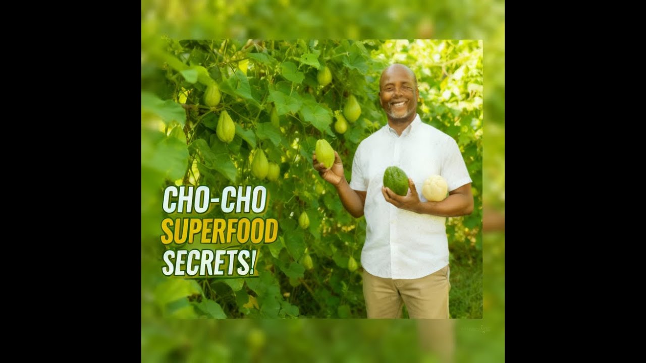 Cho-Cho Benefits: The Superfood That Lowers Blood Pressure & Balances ...