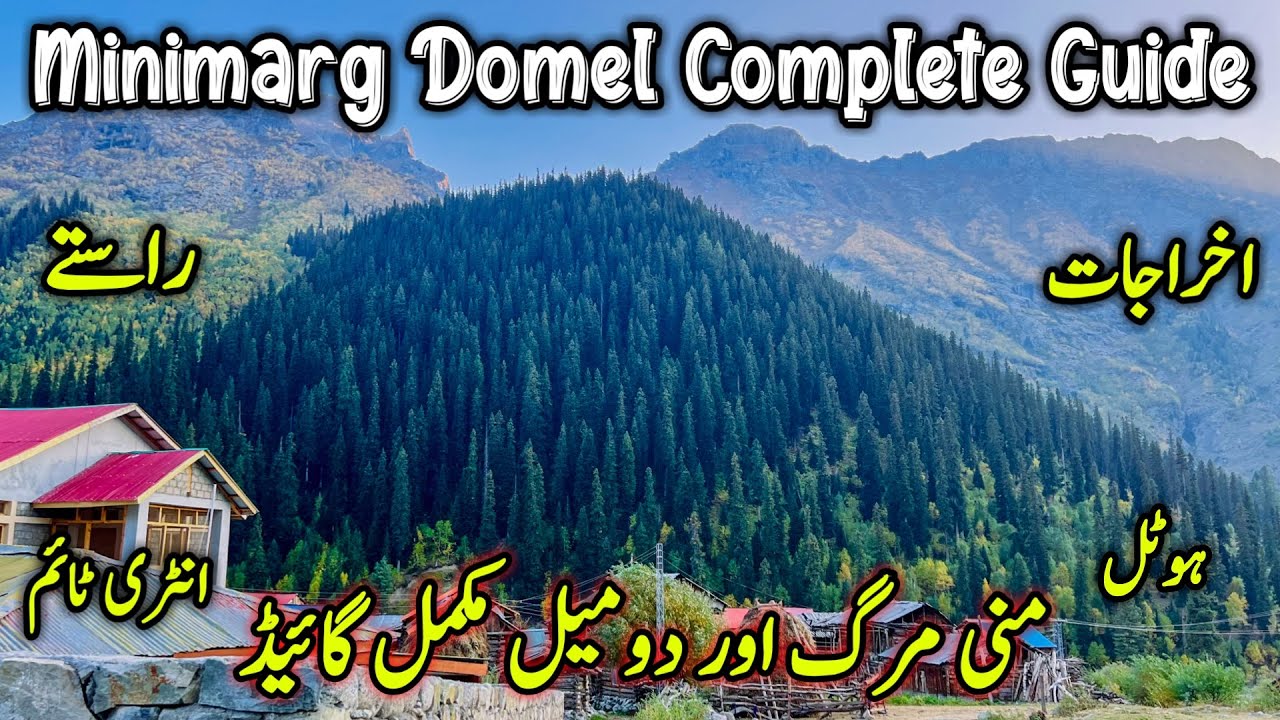Minimarg and Domel Complet Travel Guide | Astore To Chilam Beautiful ...