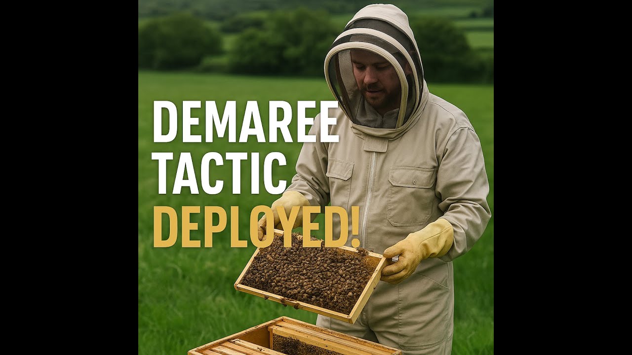 Beekeeper vs Swarm Season – Demaree Tactic Deployed! #thehoneyherd # ...