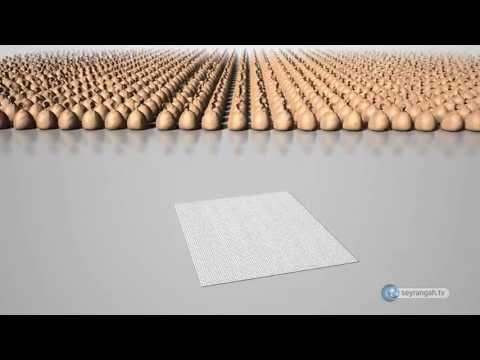 Fiillerdeki mükemmellik delili