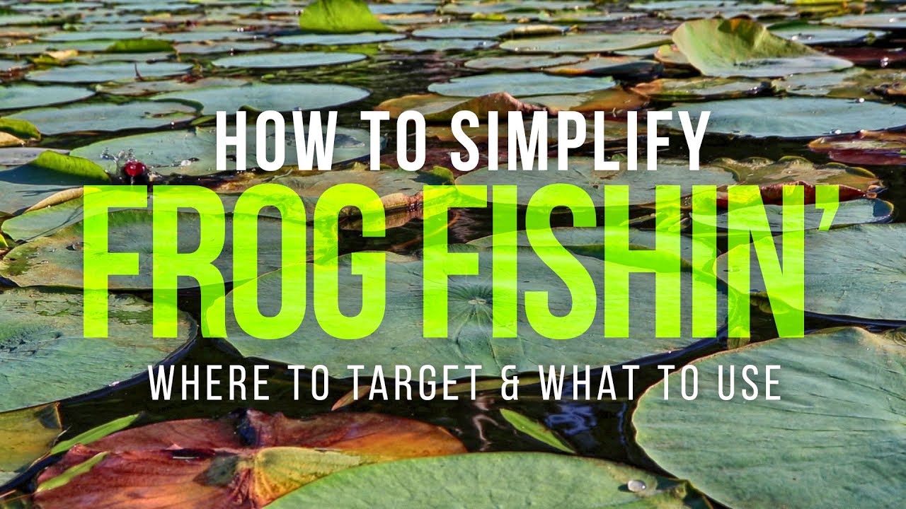 How to Simplify Frog Fishing (Setup & What to Target!) - YouTube