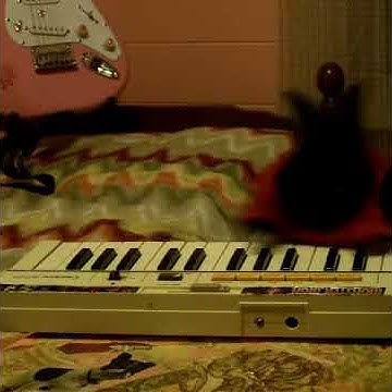 Keyboard bunny - YouTube