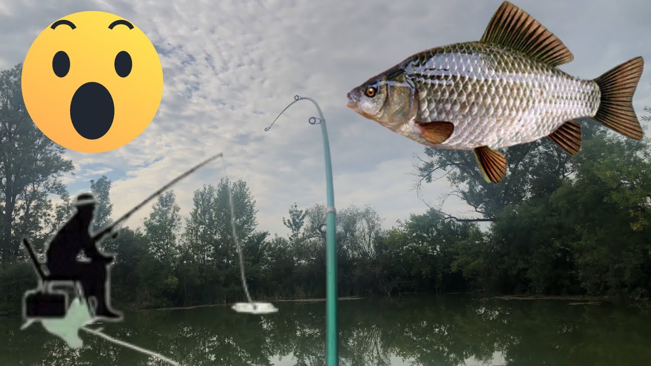 LA PESCUIT AM PRINS MARE ȘTIUCĂLĂU 🐟🐠 - YouTube