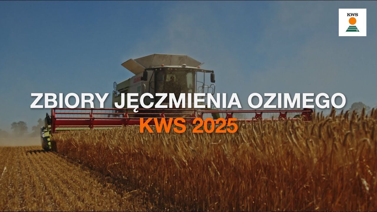 Zbiory jęczmienia ozimego KWS 2025!🚜🌾 - YouTube