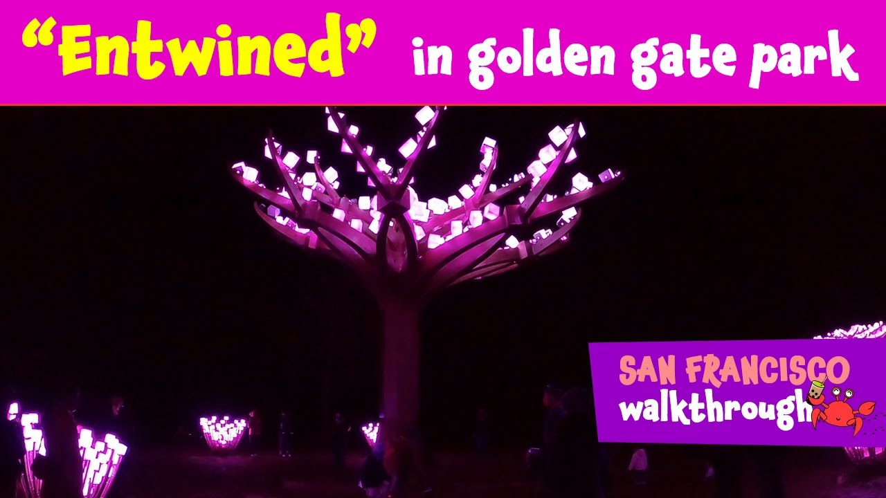 Enchanted Entwined forest art exhibit in San Francisco Golden gate park ...