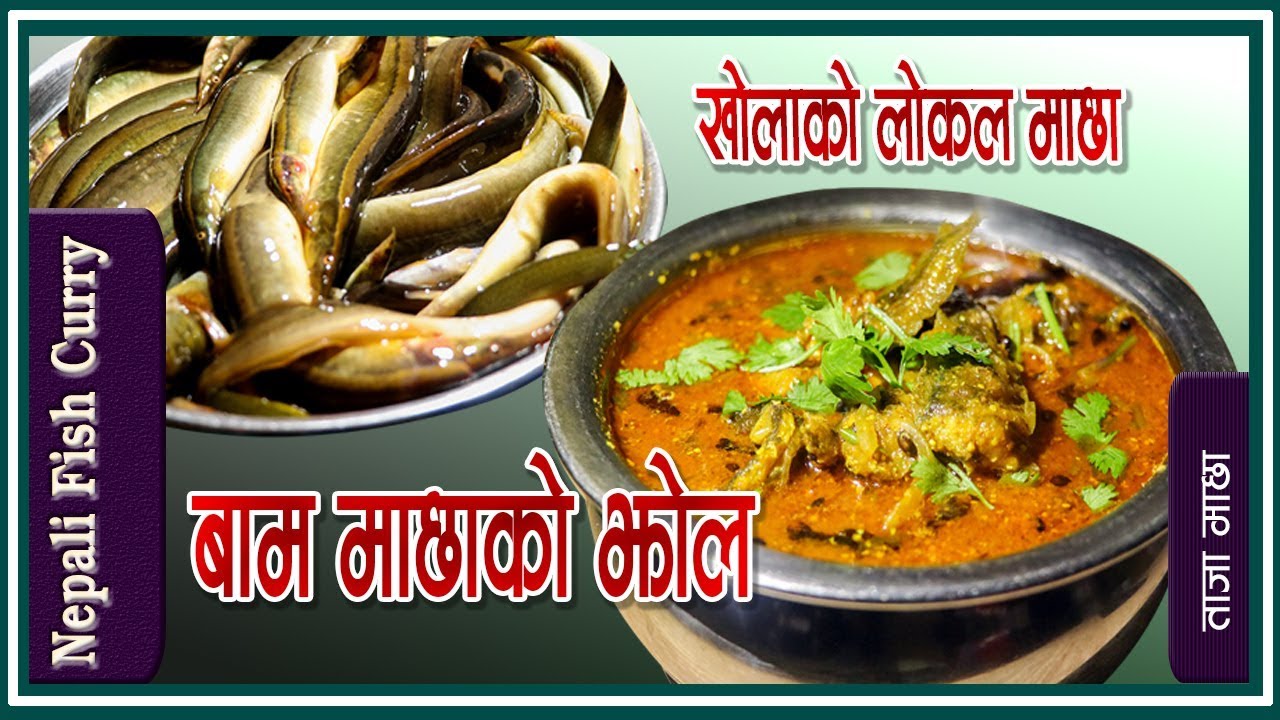 बाम माछाको झोल । Khola Ko Local Machha Ko Jhol | Macha Ko Jhol | Fish ...