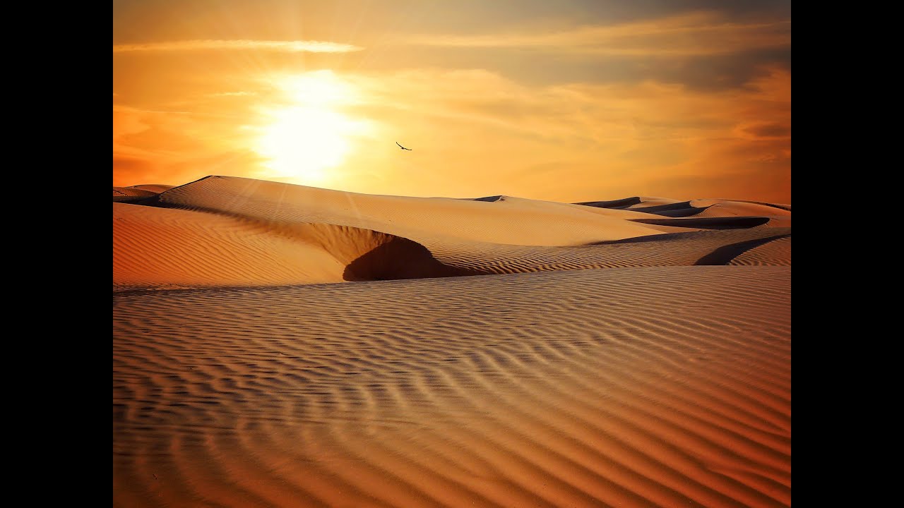 Ambienti della fascia tropicale: il deserto - YouTube