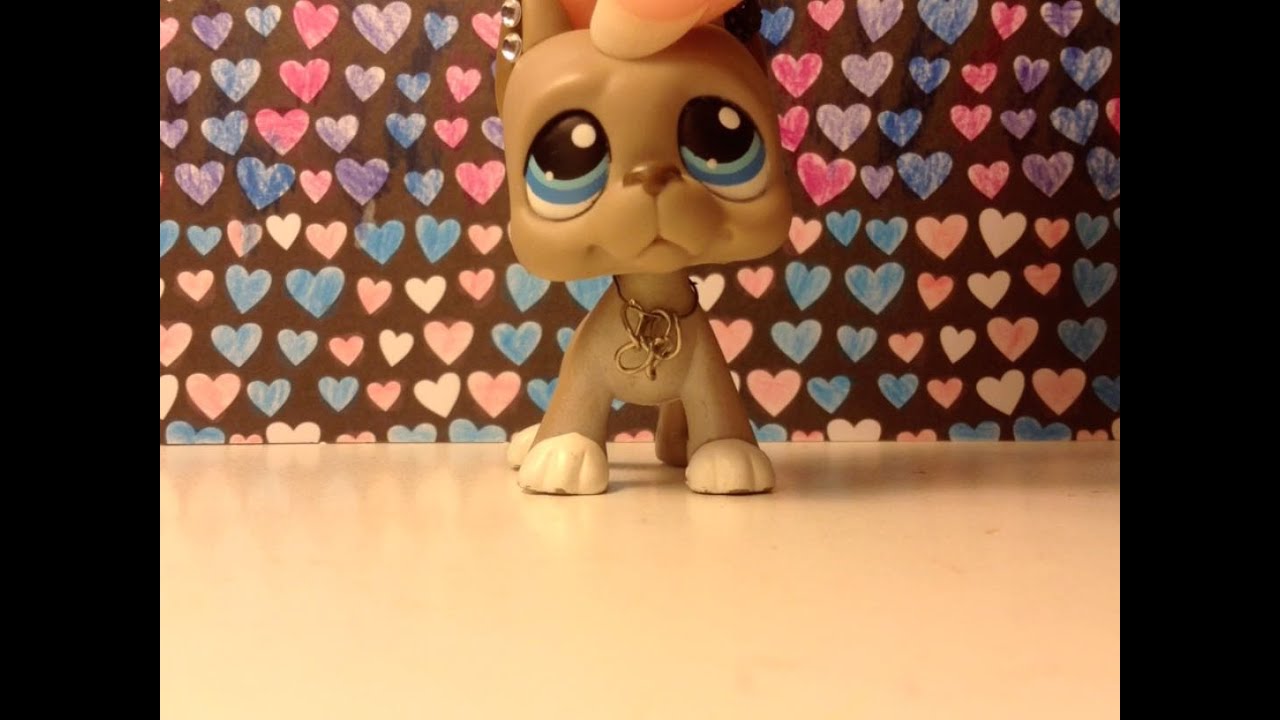 Lps: OC Couples and Backstories?! - YouTube