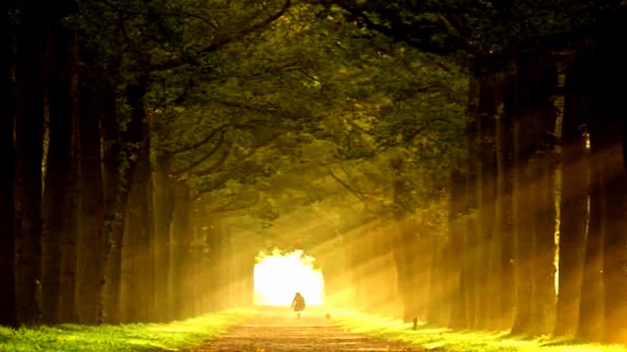 Light View (HD1080p) - YouTube