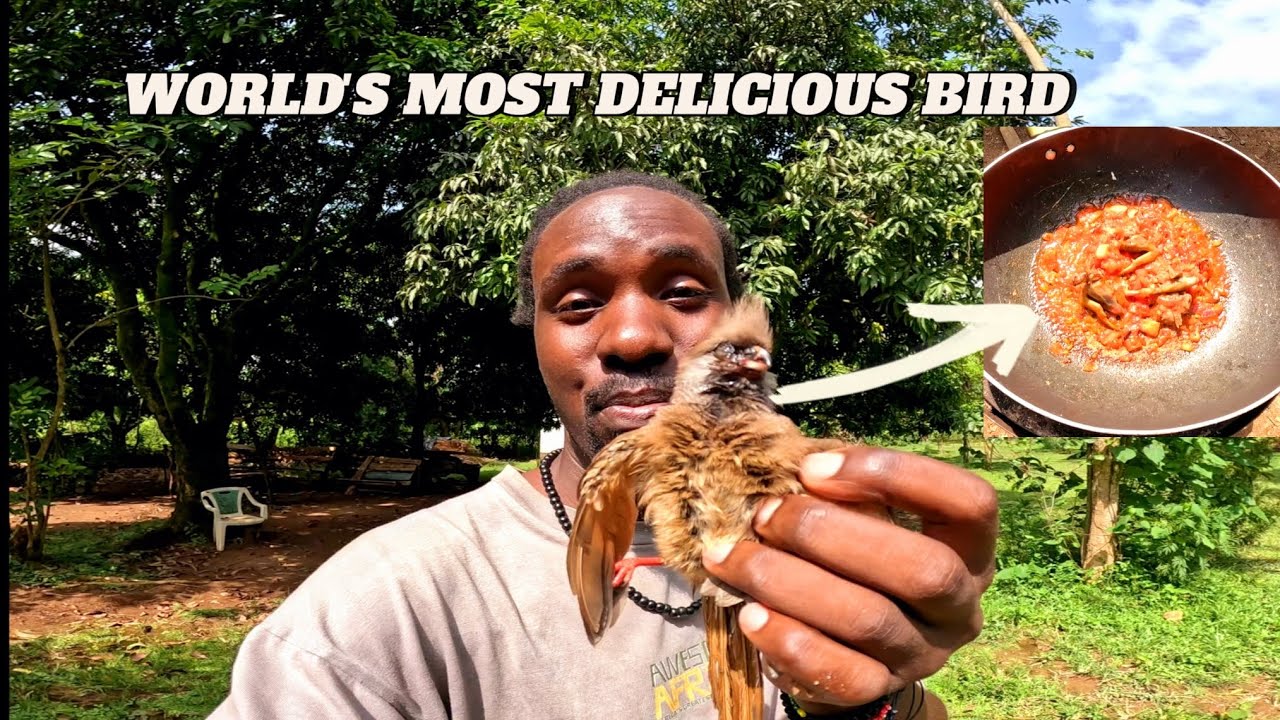 COOKING AND EATING WORLD'S MOST DELICIOUS BIRD MEAT IN THE VILLAGE # ...
