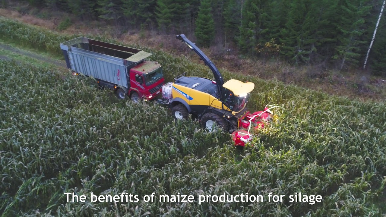 Production of grass, whole crop silage and maize silage in Finland ...