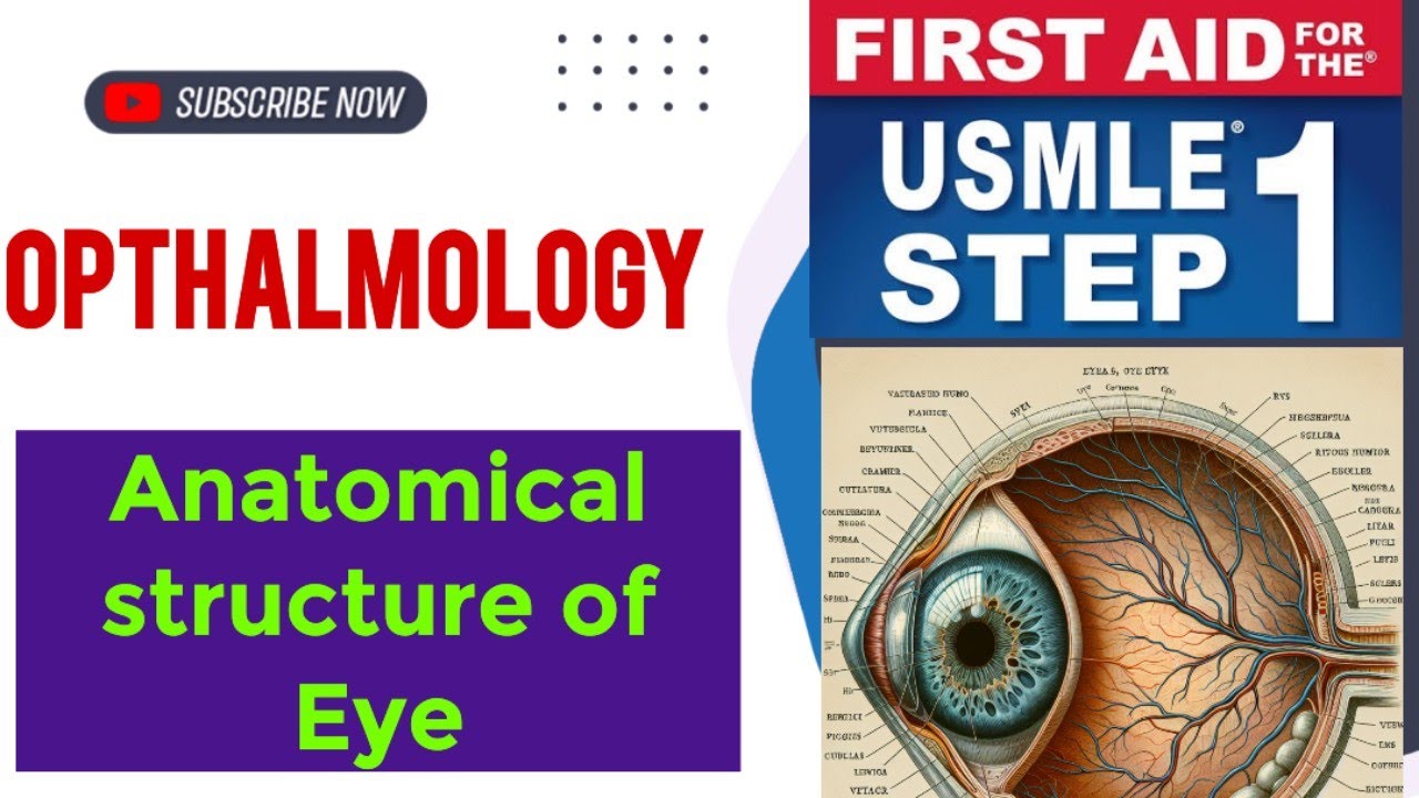 Eye Anatomy: Essential Guide to Structure & Function #ophthalmology 1 ...