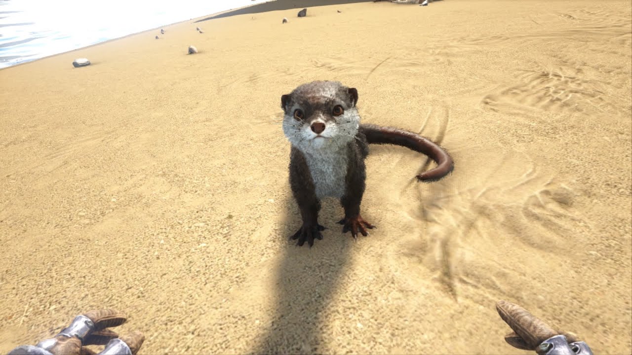 ARK THE ISLAND || COMO TAMEAR UNA NUTRIA #1 - YouTube