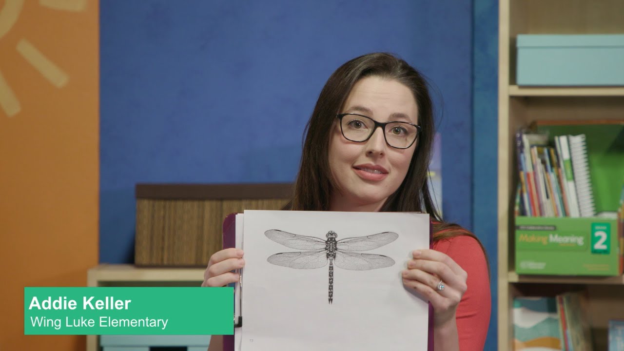 ELA, Grades 2-3, 3/23 - Lesson 1, Making Meaning & Visualization - YouTube