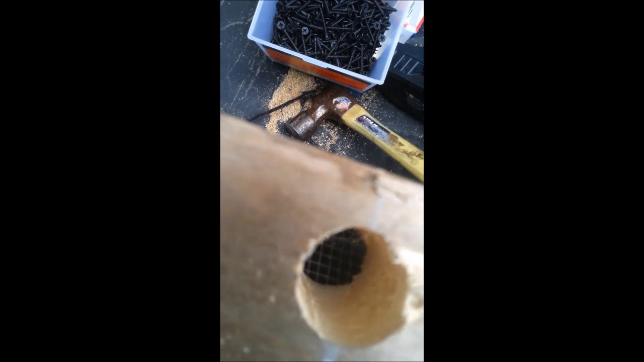 My Modified Honey Cow Bee Hive (Part One) - YouTube