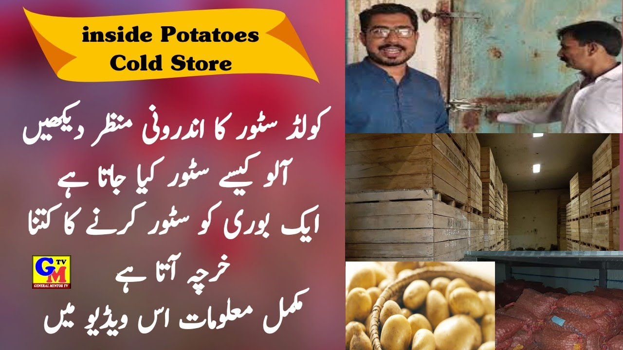 How to Store Potatoes in Cold Store | Let's know complete process of ...