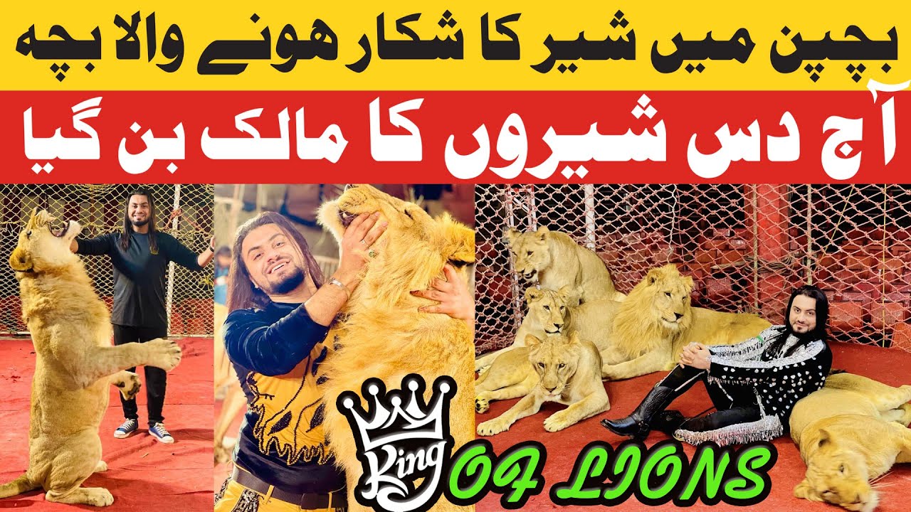 Bilal King of Lions |A child who was hunted a tiger as a child became ...