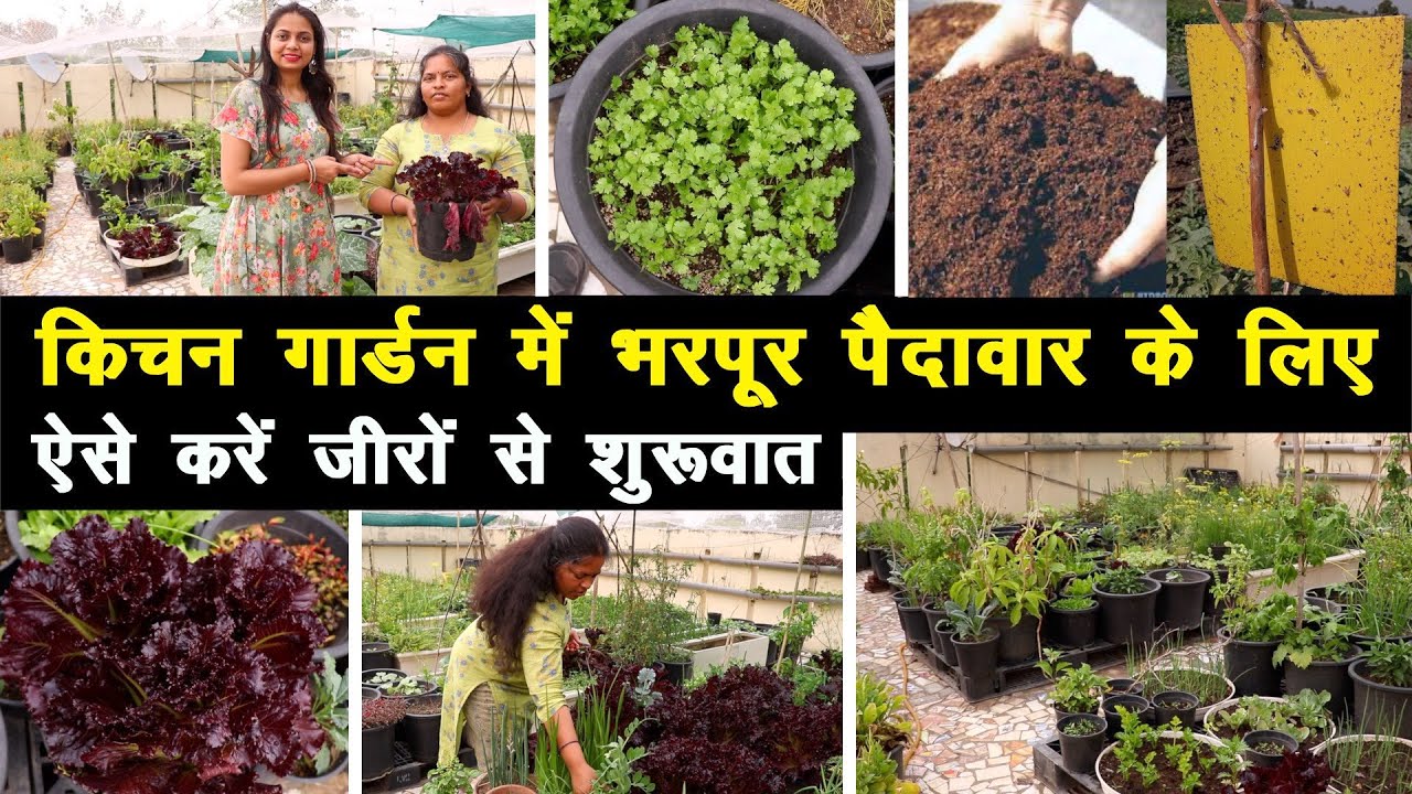Start Growing Vegetables on Terrace 🥦🥒 Beginners Kitchen Garden ...