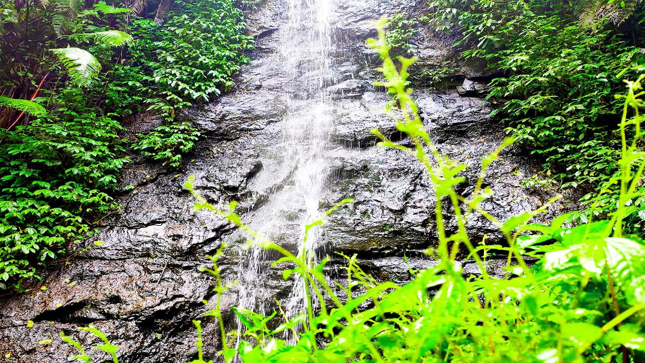 Soothing Waterfall Sound in Nature - Great for Meditation and Sleep ...