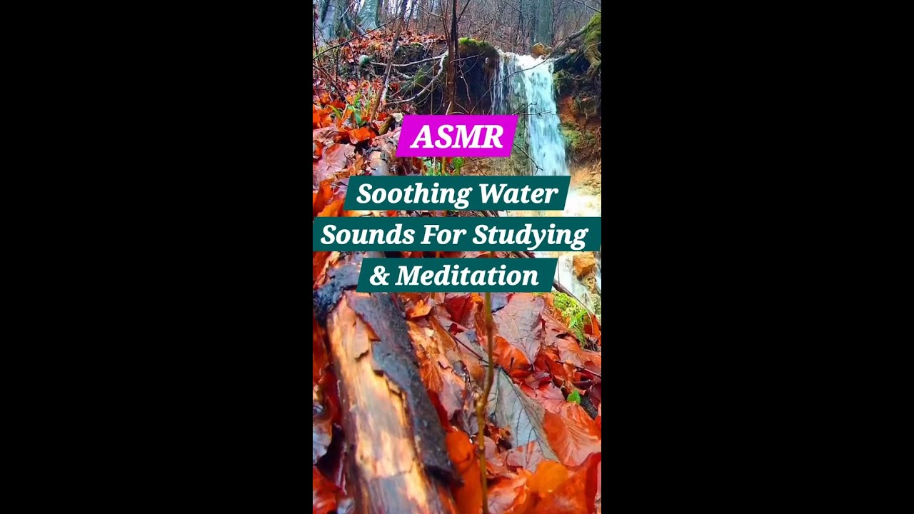 Tranquil Babbling Brook | Calming Water Sounds for Deep Relaxation | Relaxing Waters - YouTube