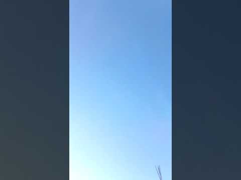 Trailer Roosevelt Island 2