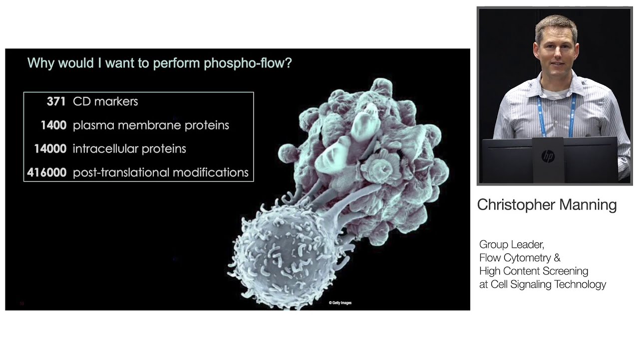 Optimizing Immune Cell Activation Assays with Intra & Extracellular ...