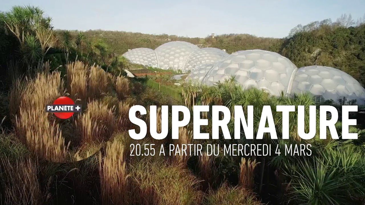 Supernature - YouTube