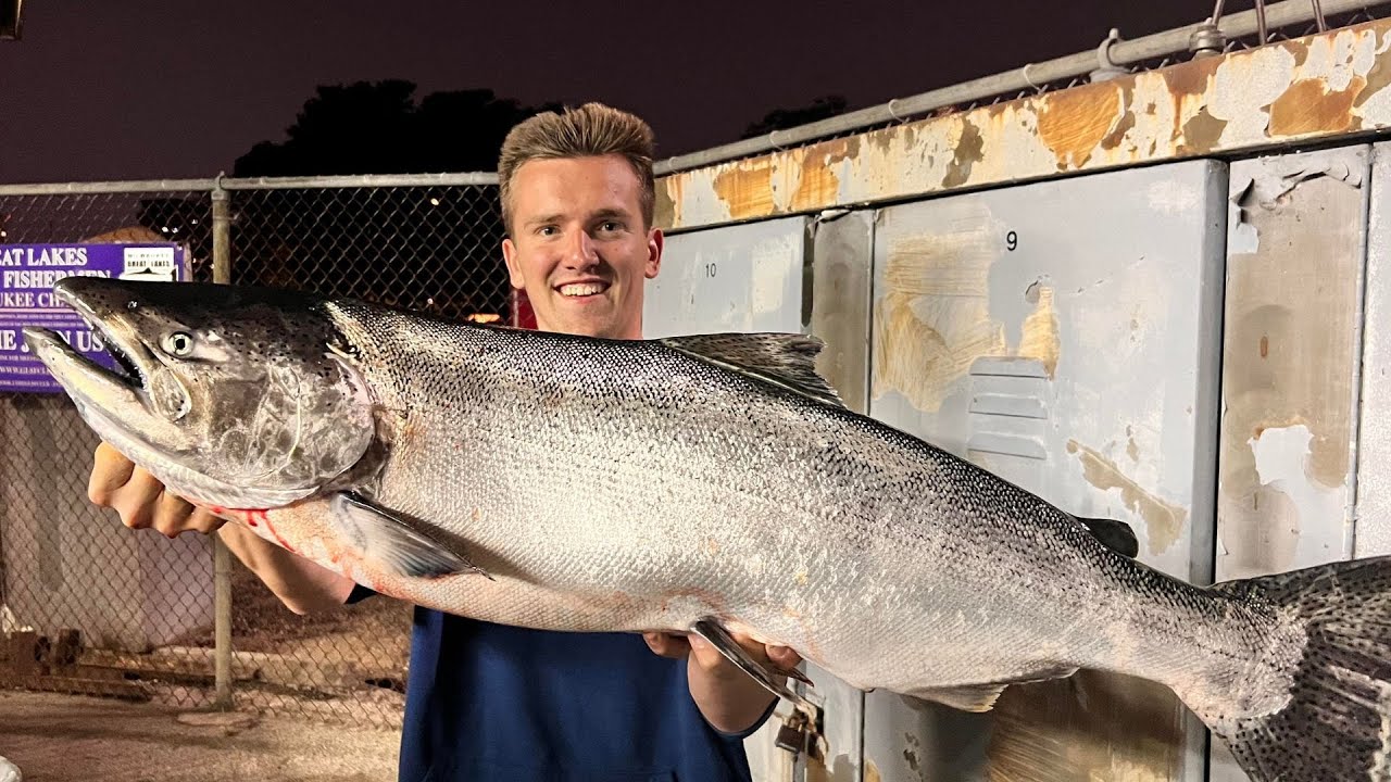 Friday night salmon fishing! - 21.5lb Chinook - Milwaukee WI - YouTube