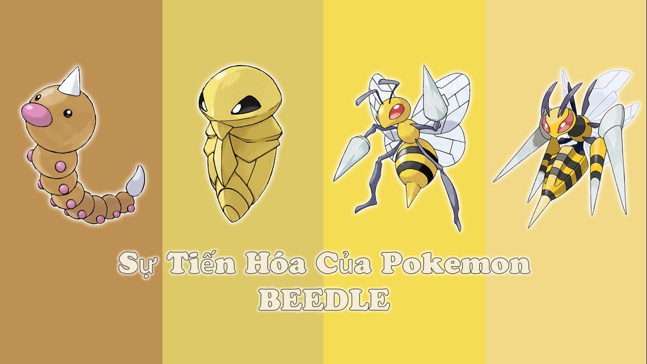 Sự Tiến Hóa Của Pokemon Beedle - YouTube
