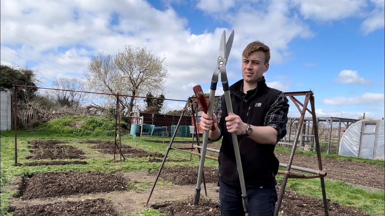New Allotment Day 6 - Plot maintenance & planting raspberry canes - YouTube
