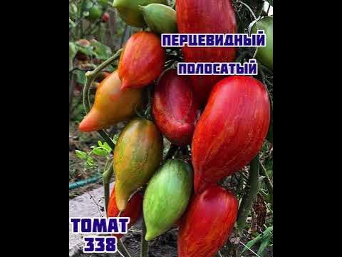 Коллекция низкорослых, вторая часть. - YouTube