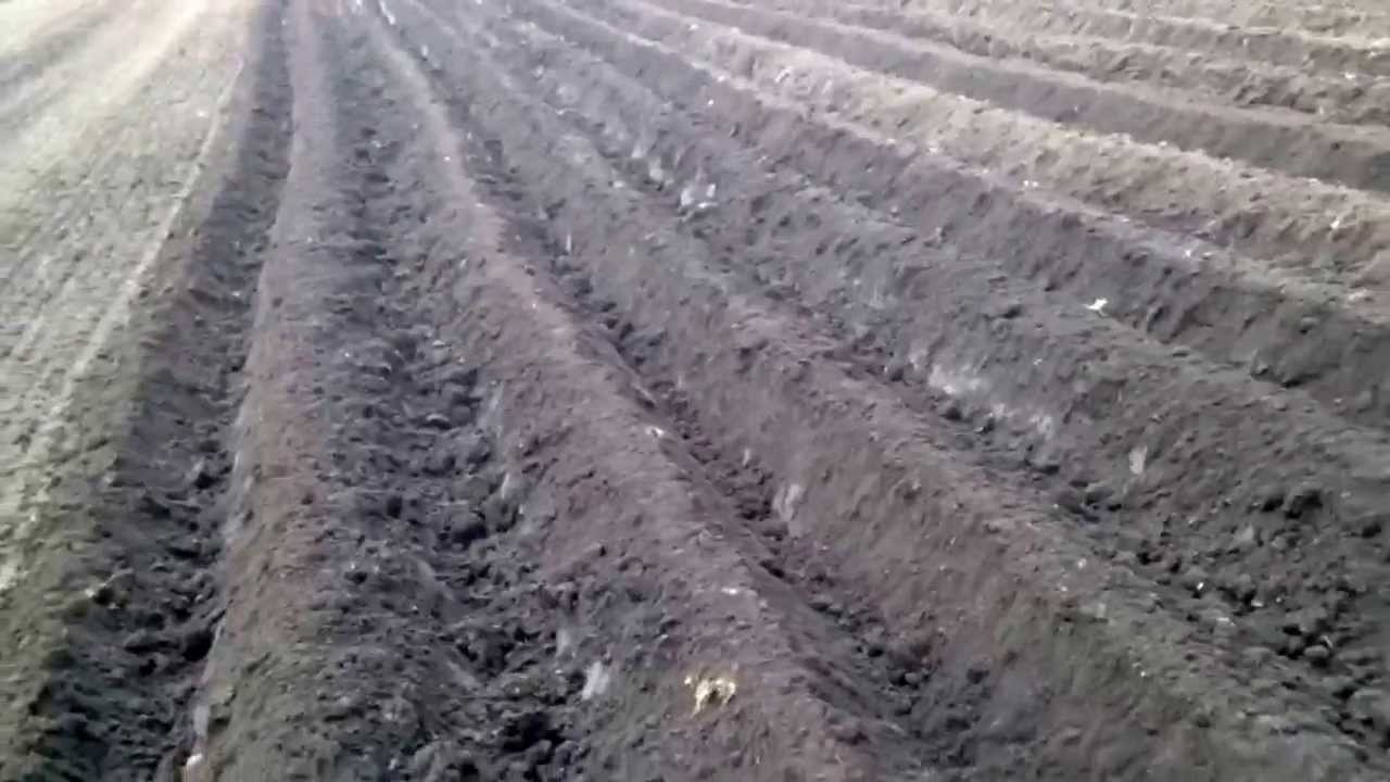 Ridging up for potatoes - YouTube