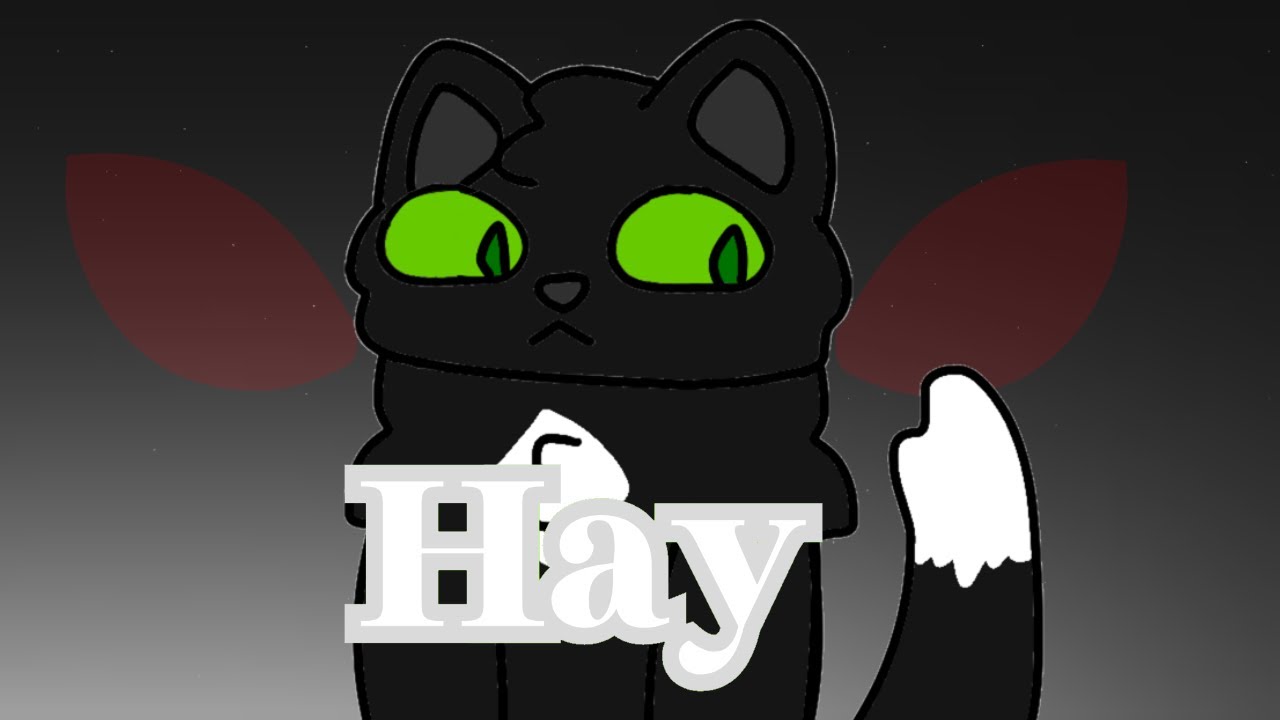 HAY | Animation meme | Warrior Cats | Ravenpaw and Tigerclaw - YouTube