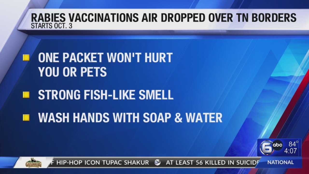 Rabies vaccinations air dropped along TN border - YouTube