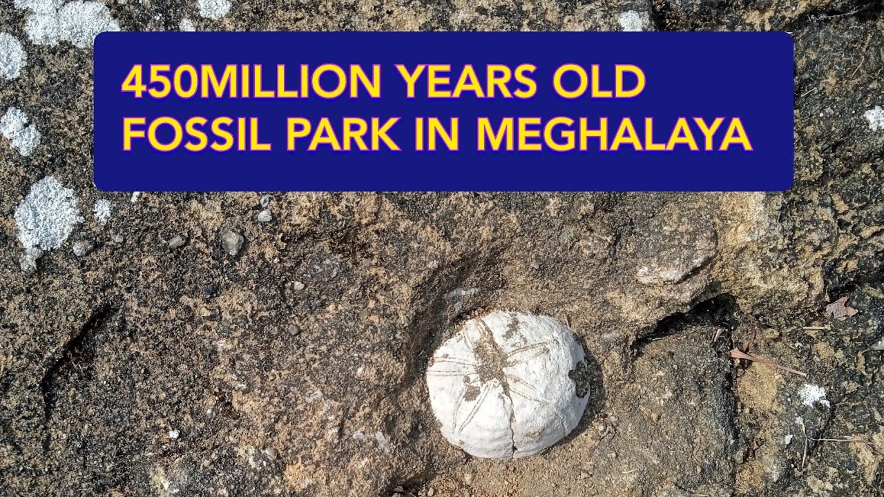 450 million Years Old Fossil park, Mawlyngbna#mawsynram #mawlyngbna # ...