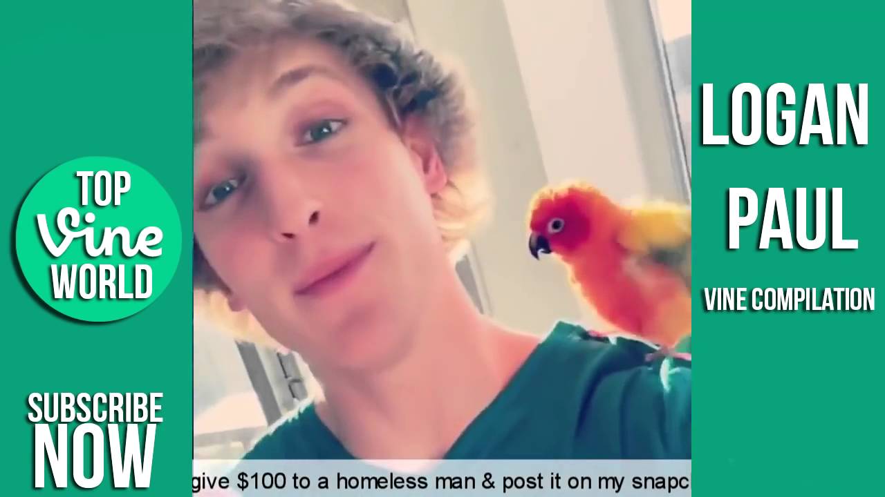 Funniest Logan Paul Vine Compilation 2016 NEW Logan Paul Vines W Titles ...