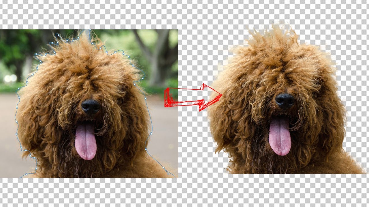 Master the Art of Background Removal: Cut out Objects like a Pro in 3 ...