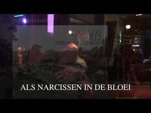 Flor de Fango Tango Café-XL 19-12-2018, \