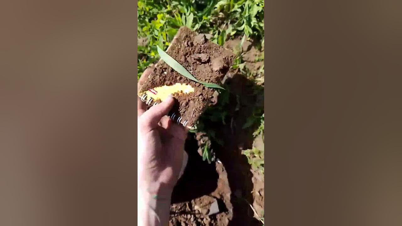 уничтож меня!!! - YouTube