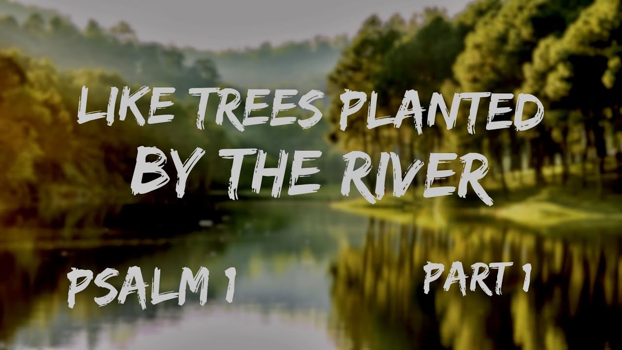 Like Trees Planted by the River - Psalm 1 Part 1 - YouTube