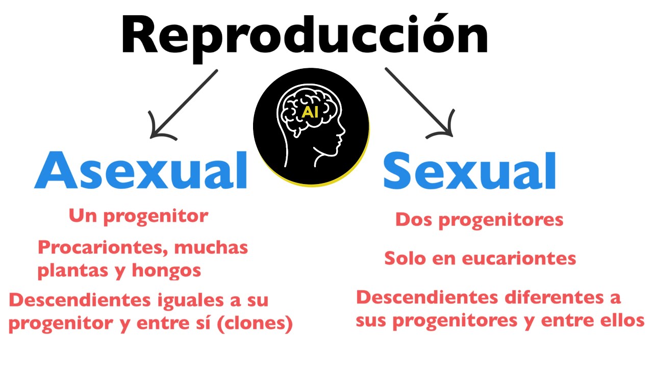Reproduccion sexual, asexual (fision, gemacion, partenogenesis ...