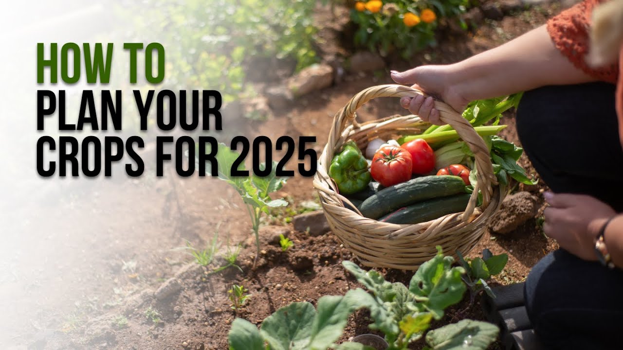 How to Plan Your Crops for 2025 - YouTube