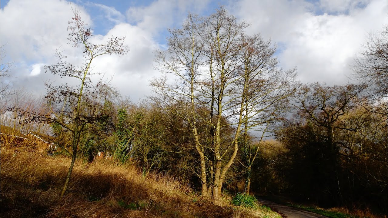 Tail End of Storm Ciara, Along The Valley Brook, Crewe Feb 2020 - YouTube