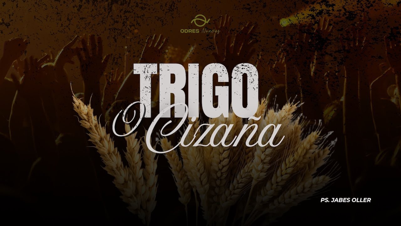TRIGO O CIZAÑA - PS JABES OLLER / DOMINGO 2 DE FEBRERO - YouTube