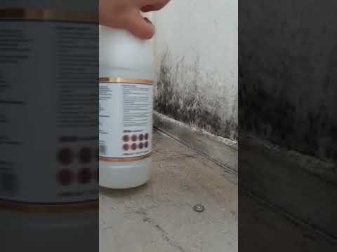 Eya Clean İle ( Duvardaki Küf Lekesi Nasıl Temizlenir.)