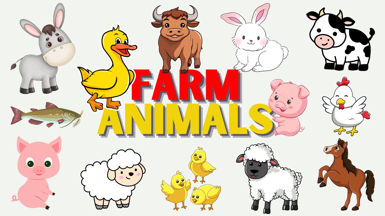 MENGENAL HEWAN TERNAK DALAM BAHASA INDONESIA DAN BAHASA INGGRIS | STUDY ...