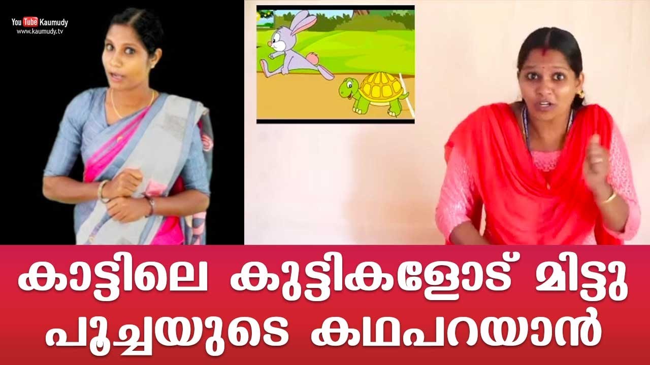 The story of 'Mittu-The Cat' is ready for tribal children | Wayanad ...