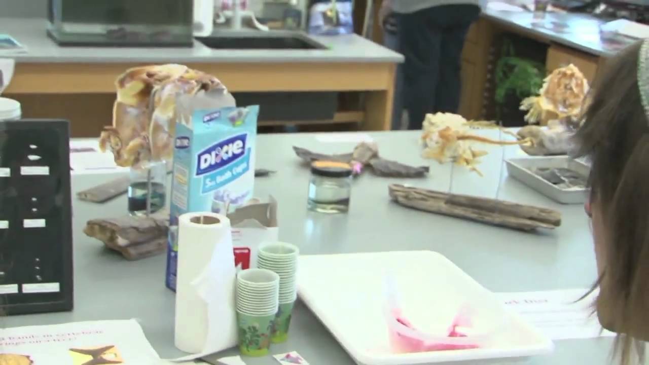 MLML Open House Ichthyology Lab - YouTube