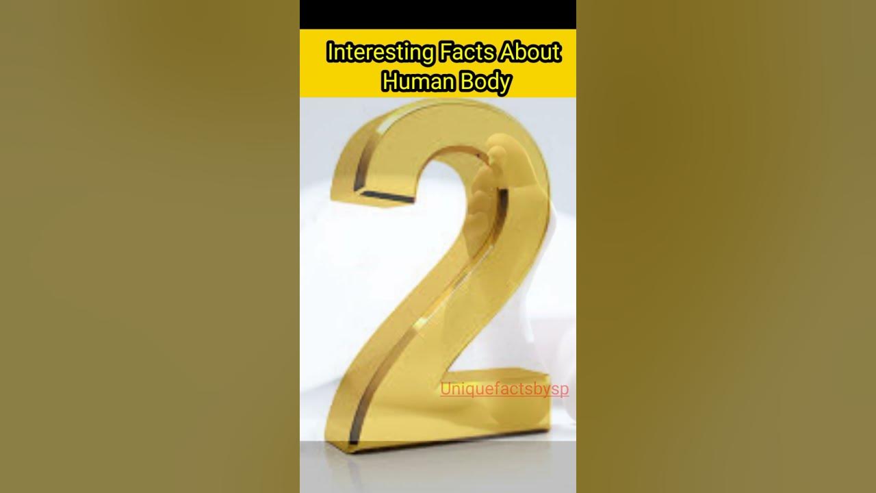 Top 3 Facts About Human Body Human Body Facts In Hindi shorts YouTube top-3-facts-about-human-body-human-body-facts-in-hindi-shorts-youtube