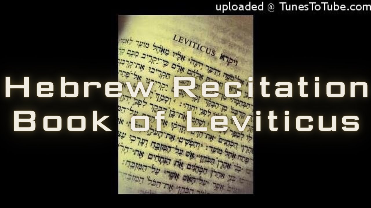 Torah | Leviticus Hebrew Recitation | תורה | דקלום עברי ויקרא - YouTube